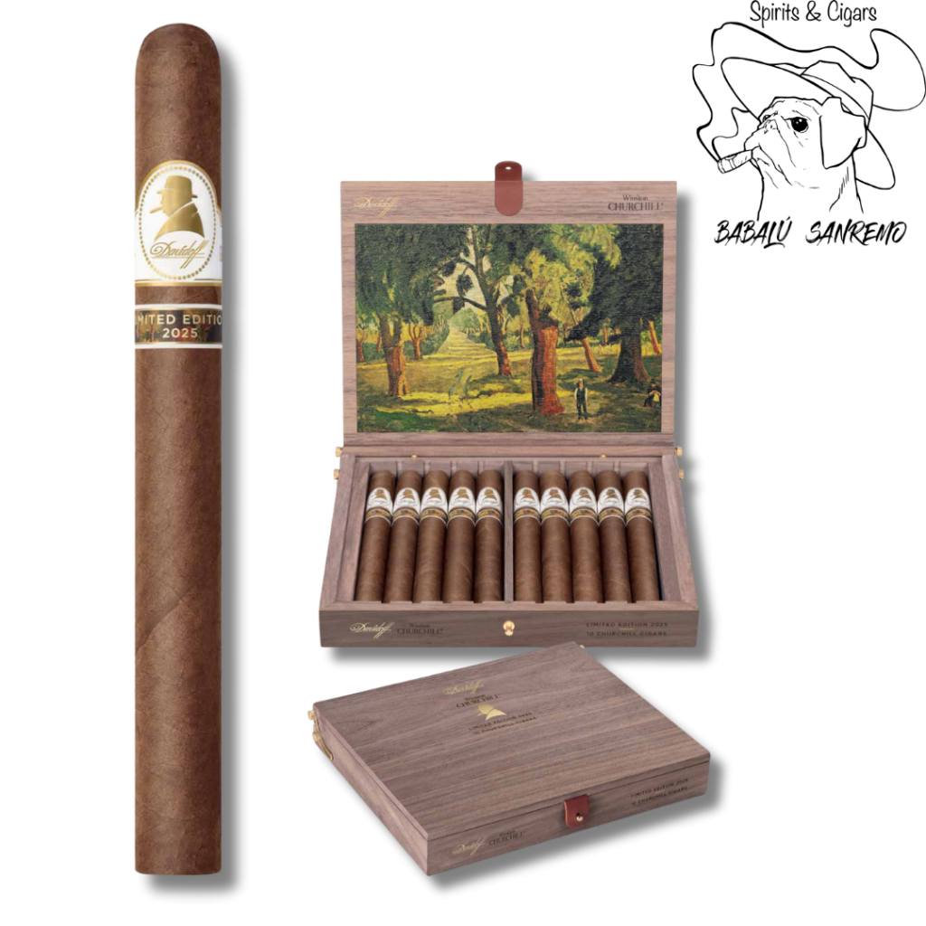 Davidoff Winston Churchill Churchill Limited Edition 2025 - Tabaccheria ...